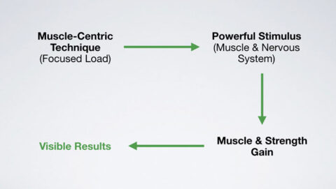 Total Body Transformation Program (Beginner)